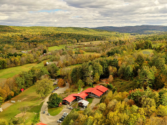 Aerial view of Helvetia nestled in West Virginia's rolling mountains, where Swiss immigrants found landscapes reminiscent of their Alpine homeland.