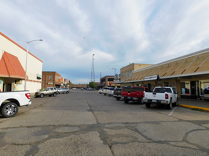 Pickup trucks line Havre's downtown streets like loyal steeds, ready to carry their owners between errands, coffee shops, and the wide-open prairie beyond.