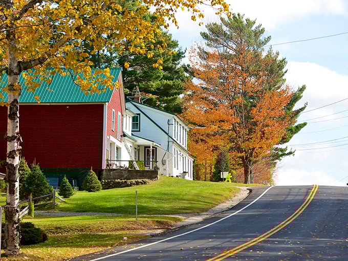 Autumn in Sugar Hill isn't just a season&mdash;it's a masterpiece painted with nature's most vibrant palette. Classic New England charm at its finest.