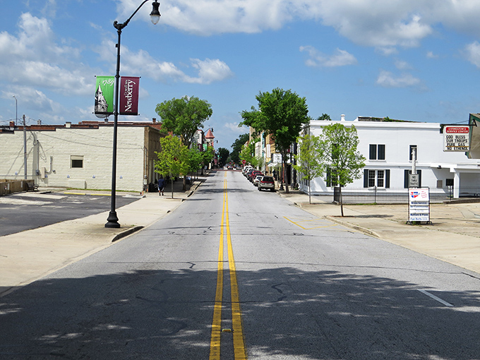 Newberry's inviting Main Street stretches before you, complete with vintage lampposts and the town's welcoming banners fluttering in the breeze.