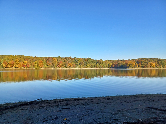 Fall's reflection doubles the visual feast at Codorus, where calm waters mirror the season's spectacular color palette.