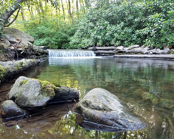 Nature's own watercolor masterpiece &ndash; Penns Creek tumbles over a small dam, framed by rhododendrons in their emerald glory. Pure Pennsylvania magic in motion.