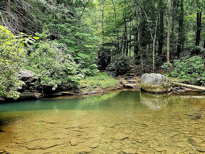 Crystal-clear swimming holes invite peaceful solitude, where ancient forests meet pristine waters in Holly River's hidden valleys.