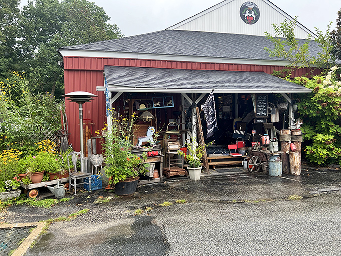 The red barn exterior isn't just charming&mdash;it's a siren call to treasure hunters. Garden items spill outward, unable to contain their vintage enthusiasm.
