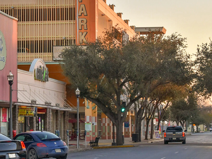 Downtown McAllen at golden hour, where trees and historic buildings create that perfect "small city with big personality" vibe that makes you want to linger.
