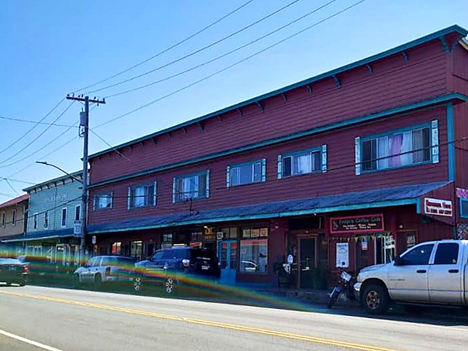 The view that makes you question why you ever stress about anything. Honoka'a's coastline stretches toward infinity, reminding us paradise isn't always crowded.