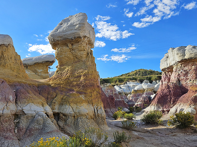 Nature's sculpture garden stands proudly against Colorado's blue sky, showcasing formations that look like they were designed by a geological Picasso.