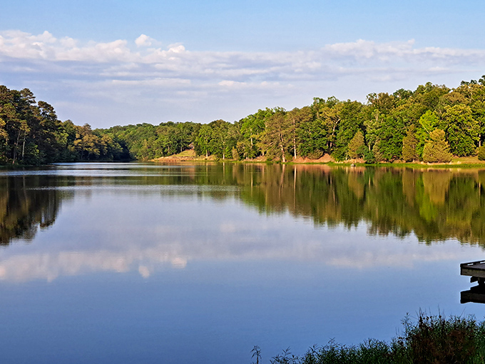 Mirror-like waters of Lake Lee reflect the sky and surrounding forest, creating nature's perfect infinity pool at Tombigbee State Park.
