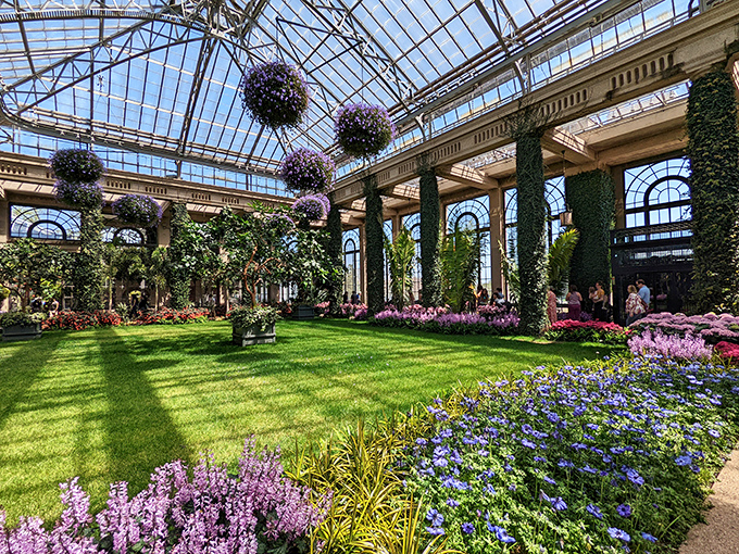 The Conservatory at Longwood Gardens feels like Mother Nature's cathedral—soaring glass ceilings, hanging baskets, and enough floral perfume to make you dizzy with delight.