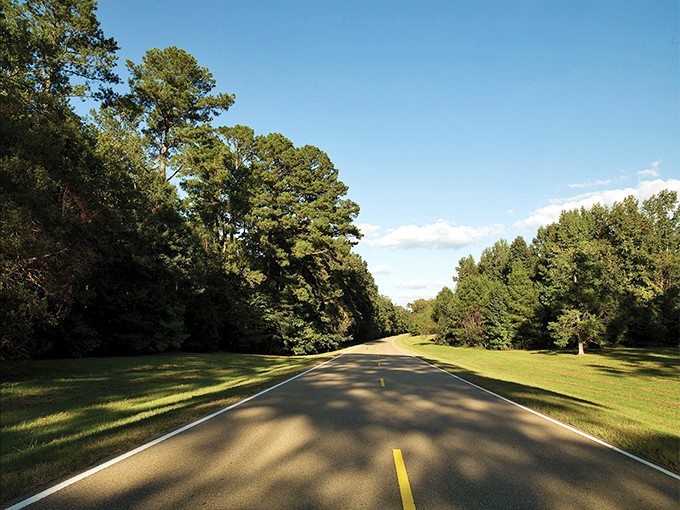Summer's embrace along the Trace offers a green cathedral of tranquility, where the only traffic jam might involve a family of deer crossing the road.