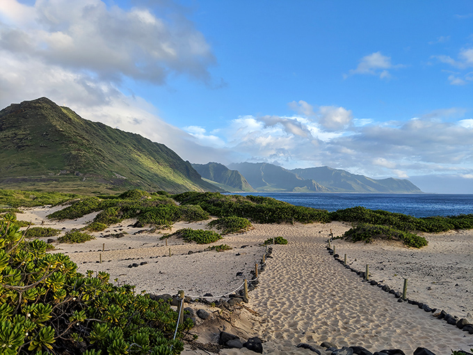 The sandy path beckons like nature's red carpet, leading to where Oahu's rugged mountains dramatically plunge into endless blue.