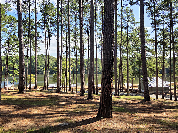 Those towering pines framing the lake create a postcard-perfect scene that'll make your Instagram followers unreasonably jealous.