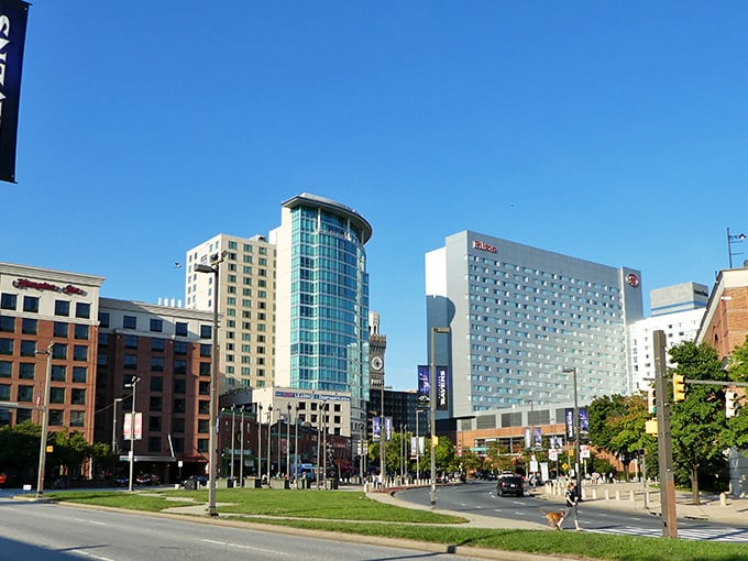 Downtown Baltimore gleams in the sunshine, where modern architecture meets historic charm. The perfect skyline view that won't break your retirement budget.