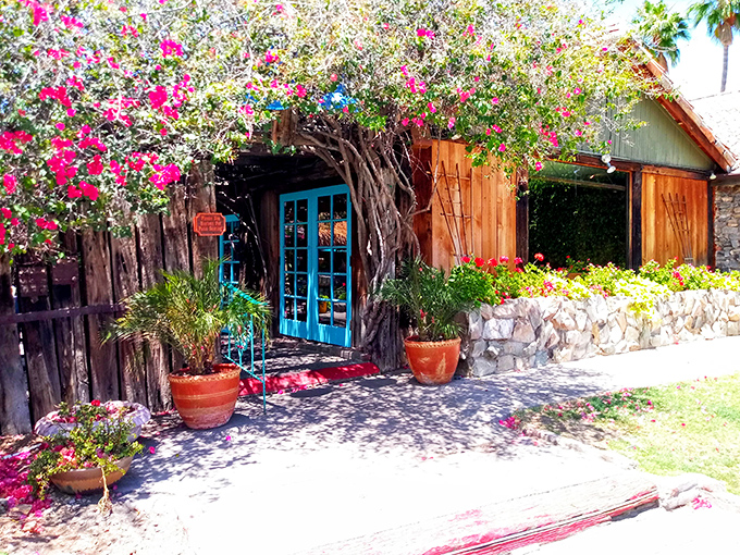 Bougainvillea blooms frame the turquoise doorway like nature's own welcome mat, promising colorful flavors await beyond this desert oasis entrance.