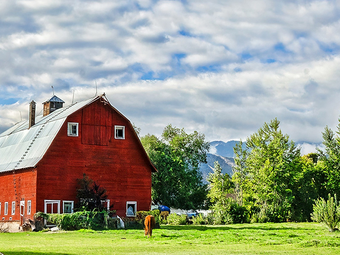 Classic red barn against mountain backdrop—the rural equivalent of a Hollywood power couple that's been together for centuries.