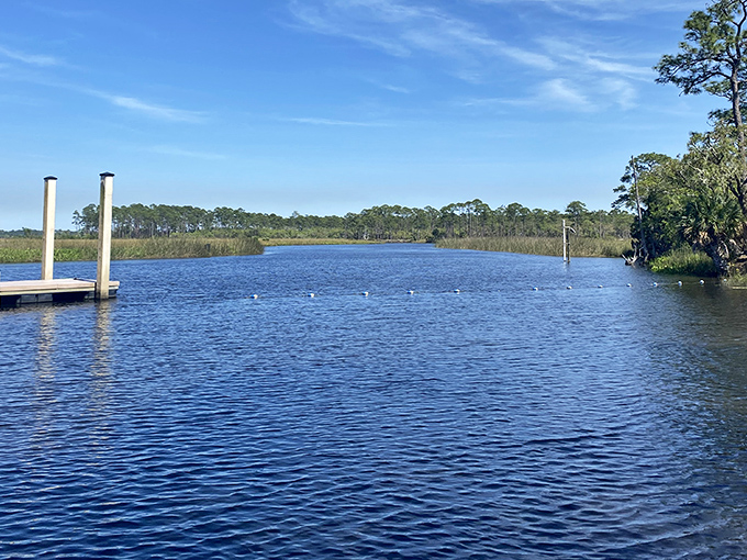 Mother Nature's infinity pool! The pristine waters of Ochlockonee River stretch toward the horizon, offering a swimming experience no resort can match.