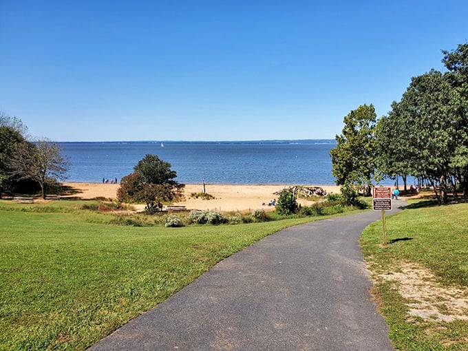 Where the Chesapeake meets your soul. This sandy shoreline at Elk Neck offers the perfect blend of beach relaxation and woodland adventure.