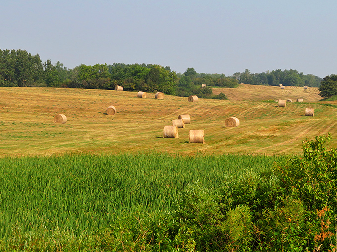 Golden hay bales dot the rolling landscape surrounding Turtle Mountain, where prairie meets forest in North Dakota's hidden paradise.