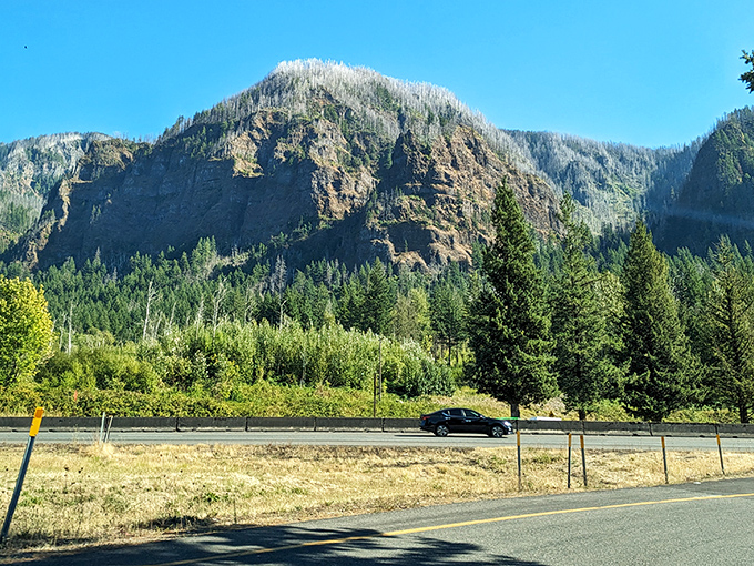 Mother Nature showing off her architectural skills with these dramatic cliffs and verdant forests. The Columbia Gorge's version of a skyscraper district.