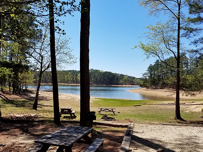 Picnic tables with a view? Baker Creek's lakeside spots offer the perfect setting for sandwiches with a side of serenity.