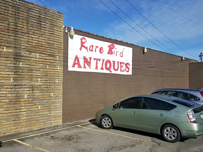 The unassuming exterior of Rare Bird Antiques belies the wonderland of treasures waiting inside. Like a book with a modest cover hiding an epic tale.