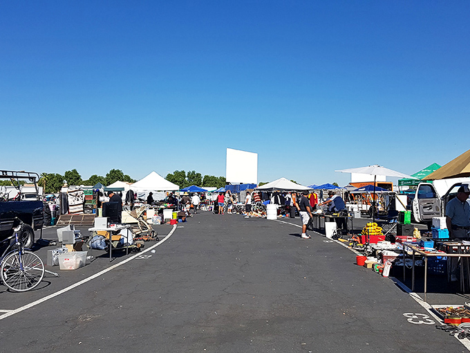 The treasure hunter's paradise stretches before you like an asphalt ocean, white tents bobbing like sails on a sea of possibilities.