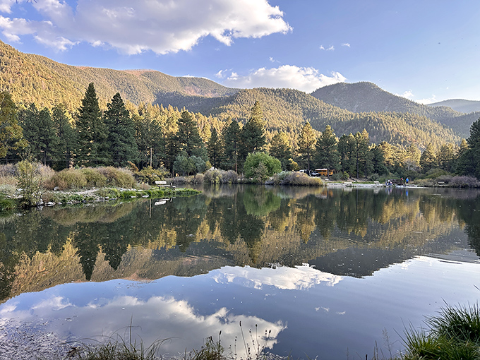 Mirror, mirror on the water &ndash; Cimarron Canyon's perfect reflections make you wonder if Mother Nature is showing off her Photoshop skills.