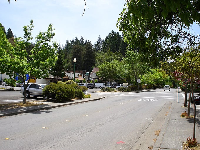 Occidental's main street welcomes visitors with towering redwoods standing guard like ancient sentinels watching over this charming hamlet.