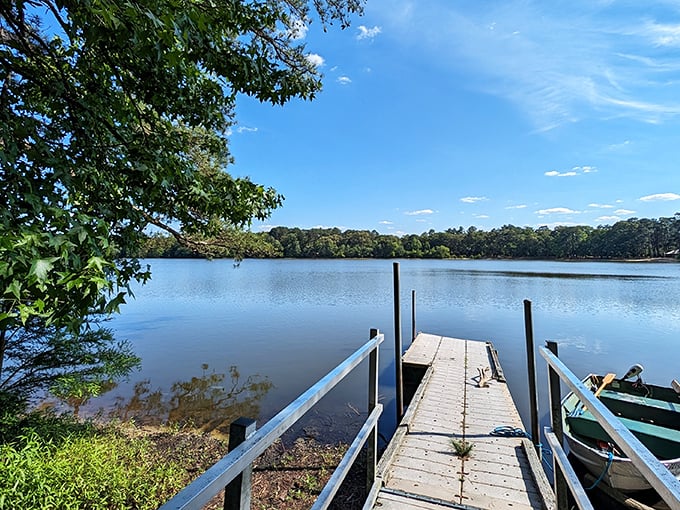 A wooden dock stretches into the serene waters of Trap Pond, practically begging you to grab a fishing pole or simply sit and contemplate life's mysteries.