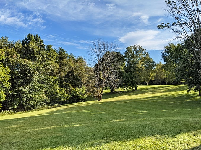 Kentucky's version of paradise doesn't need a passport—just a short drive to this sun-dappled meadow where nature puts on its finest show.