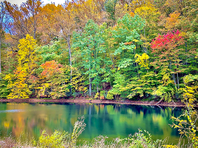 The stunning fall colors reflecting on the calm water at Oregon Ridge Park create a peaceful, beautiful retreat.
