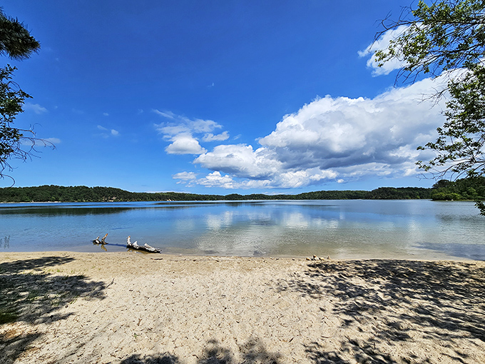 Crystal clear waters meet pristine sandy shores at Nickerson State Park, where Cape Cod's best-kept secret offers a slice of freshwater paradise.