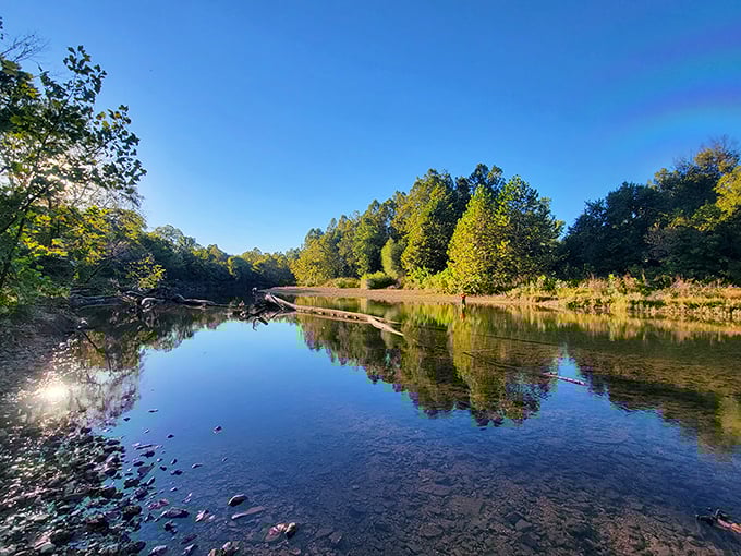 The Big River flows through Washington State Park like nature's mirror, perfectly reflecting the rugged bluffs and lush forests that make this hidden Missouri gem so captivating.