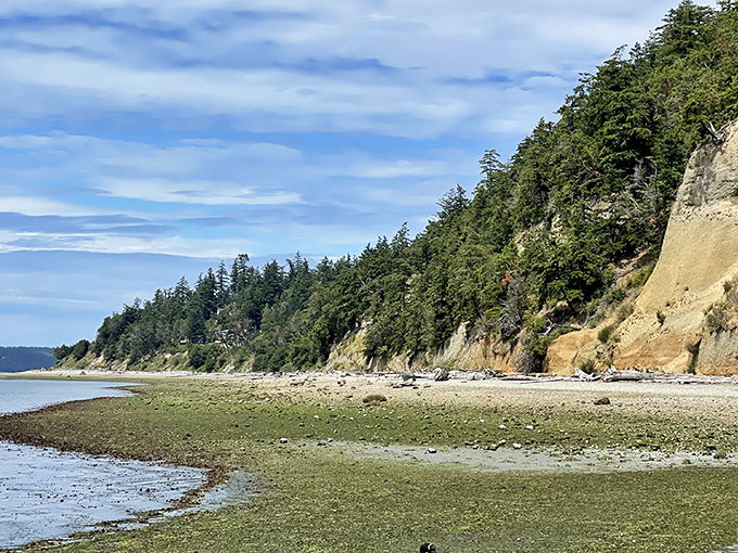 Where dramatic bluffs meet pristine shoreline &ndash; Mother Nature showing off her architectural skills along Camano Island's eastern edge.