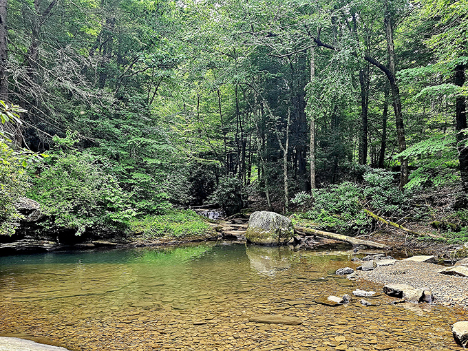 Nature's perfect swimming pool&mdash;a tranquil forest basin where sunlight dapples through leaves onto Holly River's golden streambed.