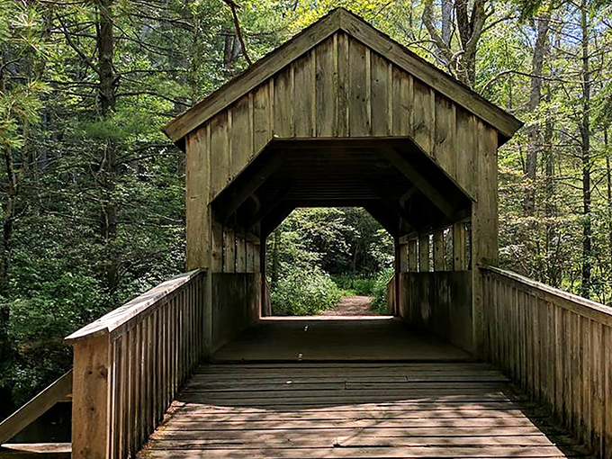 This covered bridge isn't just a path &ndash; it's a time machine disguised as architecture, inviting you to cross from everyday life into woodland adventure.