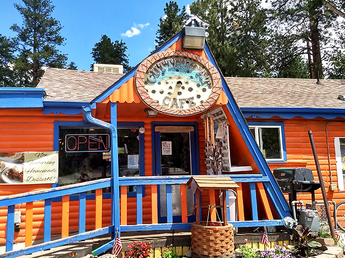 Like a fishing lure for hungry humans, Cutthroat Cafe's vibrant orange and blue exterior practically jumps out from the pine-covered landscape of Bailey.