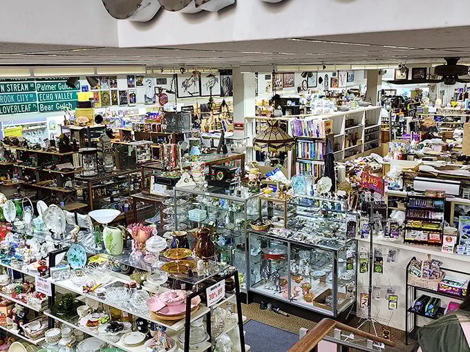 A collector's paradise where vintage meets variety &ndash; the sheer density of treasures demands multiple visits.