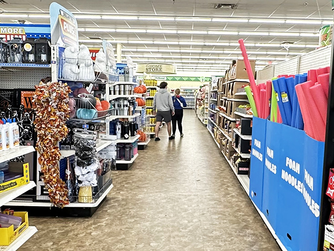 Seasonal decorations and craft supplies await shoppers navigating the fluorescent-lit wonderland of affordable possibilities.