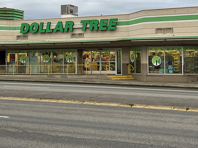 The iconic green signage of Dollar Tree on Aurora Avenue beckons bargain hunters like a retail lighthouse in a sea of Seattle's higher-priced establishments.