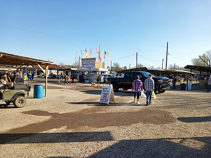 The bustling heart of Ripley's First Monday Trade Day, where treasure hunters navigate rows of covered stalls under the Mississippi sky.