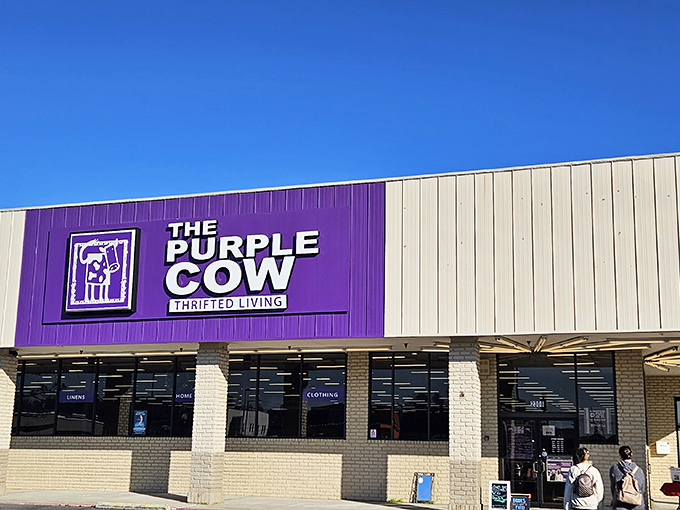 The unmistakable purple facade isn't just eye-catching&mdash;it's a promise of treasure hunting adventures that await inside. Budget-friendly retail therapy at its finest!