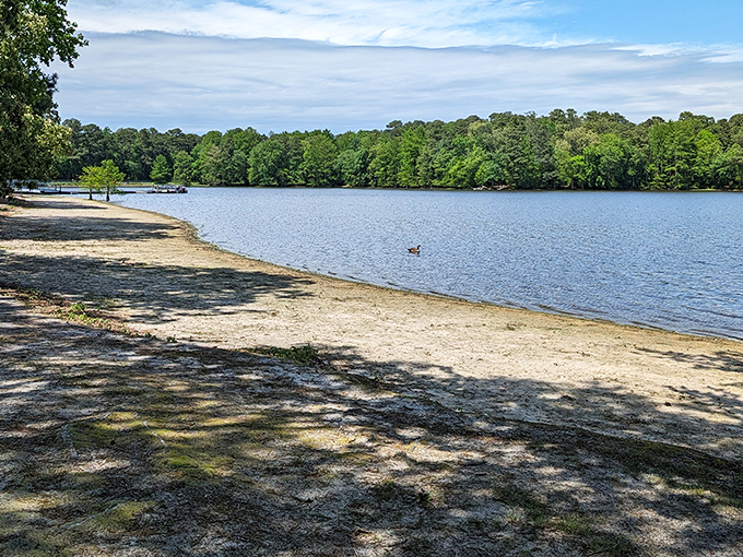 Beach day, Delaware style! This sandy shoreline offers the perfect spot for a picnic break between adventures, with front-row seats to nature's best show.
