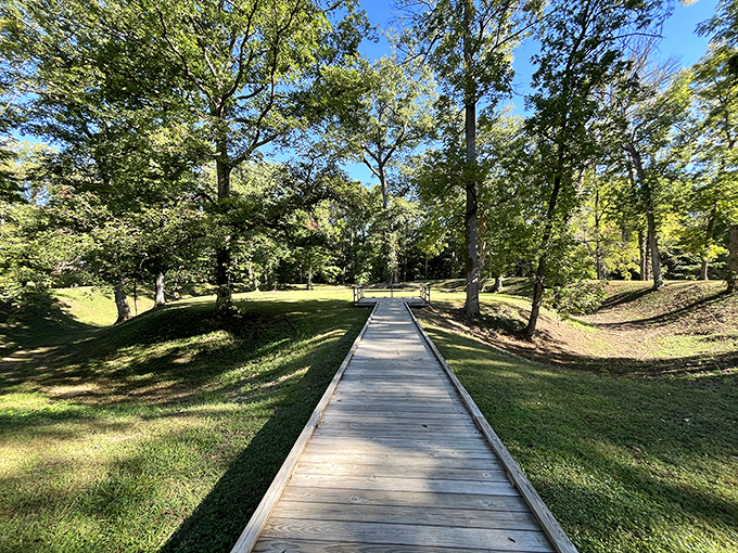The wooden boardwalk invites you into another world, where ancient earthworks and modern tranquility create the perfect escape from everyday chaos.