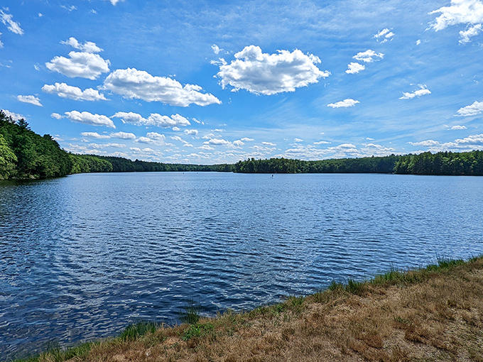 The Ashland Reservoir stretches out like nature's own infinity pool, where the blue sky meets bluer water in a perfect Massachusetts marriage.