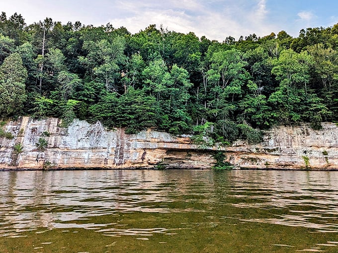 Dramatic sandstone cliffs meet crystal waters at Lake Malone, creating nature's perfect mirror. Kentucky's version of a fjord, minus the Vikings and freezing temperatures.
