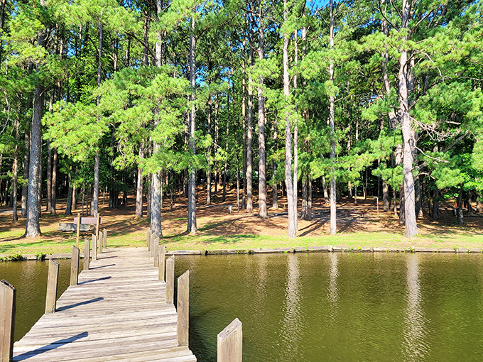 Those towering pines framing the lake create a postcard-perfect scene that'll make your Instagram followers unreasonably jealous.