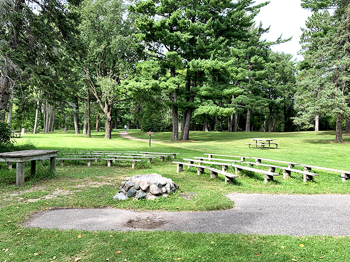 Nature's amphitheater awaits at Itasca's picnic grounds, where towering pines stand like ancient sentinels guarding your lunchtime serenity.