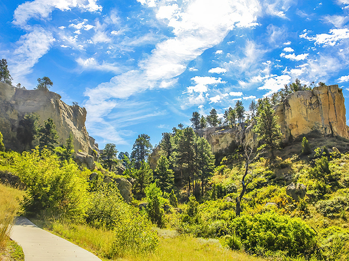 Towering sandstone cliffs stand like nature's skyscrapers, creating a dramatic backdrop for the winding trail below. Montana's version of a red carpet, minus the paparazzi.
