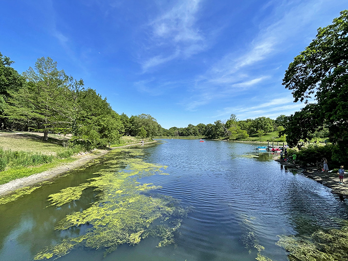 Tranquility perfected: where lily pads dance along the shoreline and the water reflects your troubles floating away. Nature's own stress-relief therapy session.